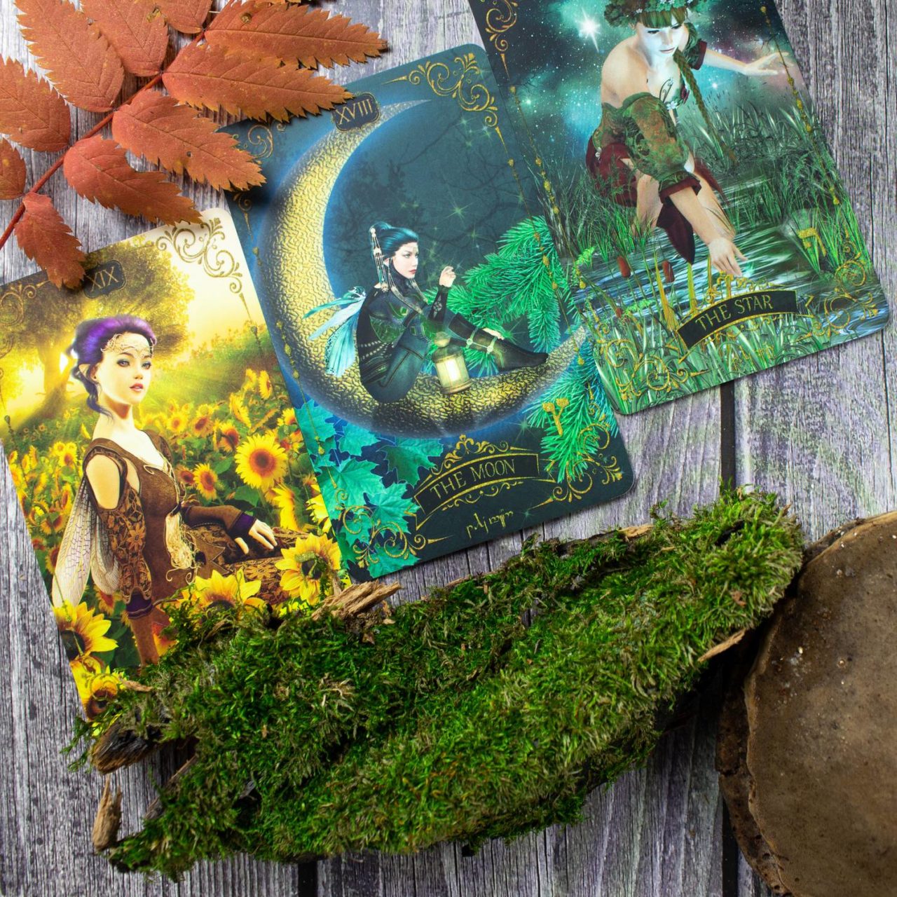 Buy Forest Creatures Tarot Standart - Tarot Card Deck | Tarocco Studio