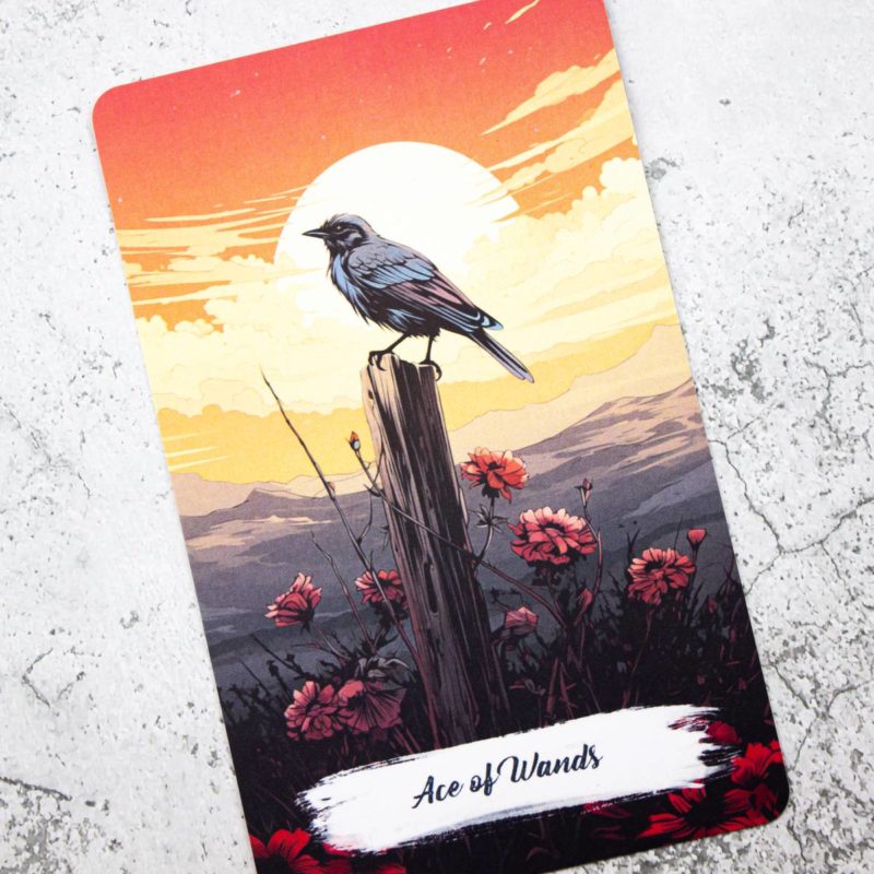 Indie Tarot Deck | Modern & Intuitive 78 Cards by | Tarocco Studio